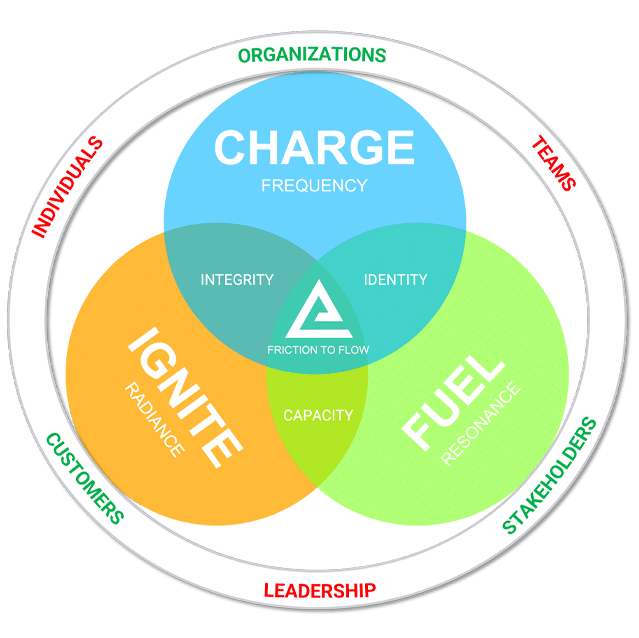 Leadership quality, workplace culture, organizational energy - TEP